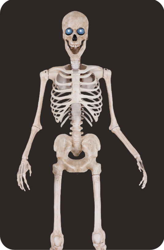 Nextfriend.ai | AI-Powered Talking Skeletons & Smart Décor